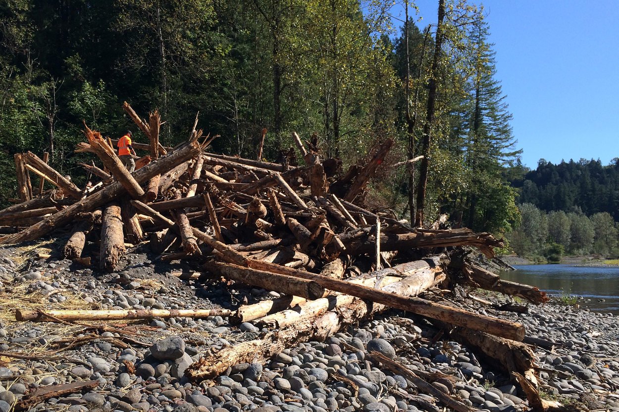 Oxbow Regional Park: Metro builds logjams, restores key habitat for ... Oxbow Regional Park: Metro builds logjams, restores key habitat for ...